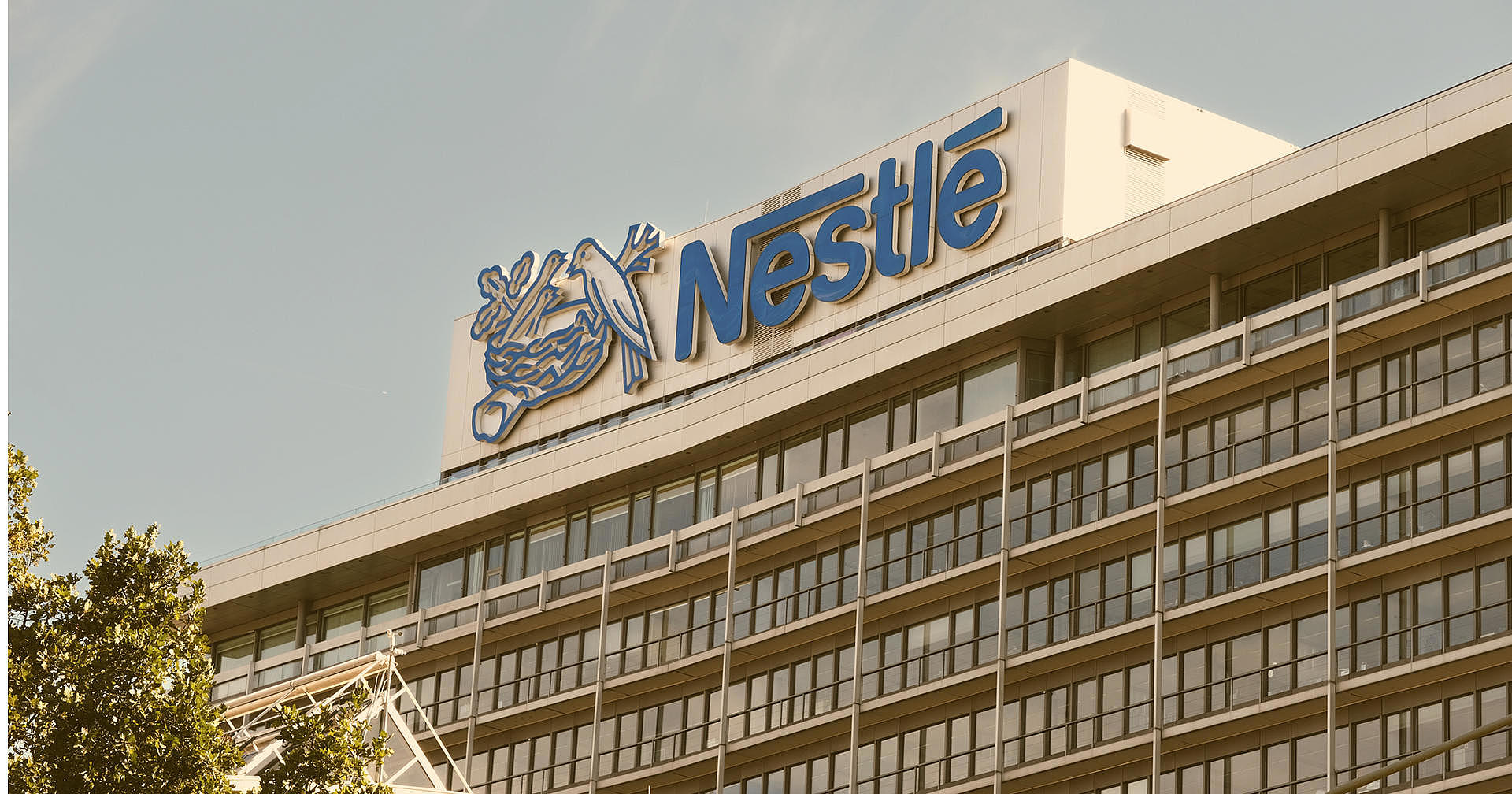 Wasser-Skandal: Nestlé betrügt offenbar schon seit Jahrzehnten | FW DE Wasser-Skandal: Nestlé betrügt offenbar schon seit Jahrzehnten | FW DE